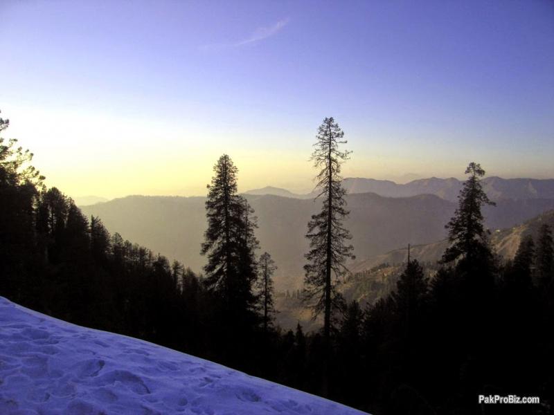 House for sale in Pindi Point, Murree | Homes for sale in Murree ...